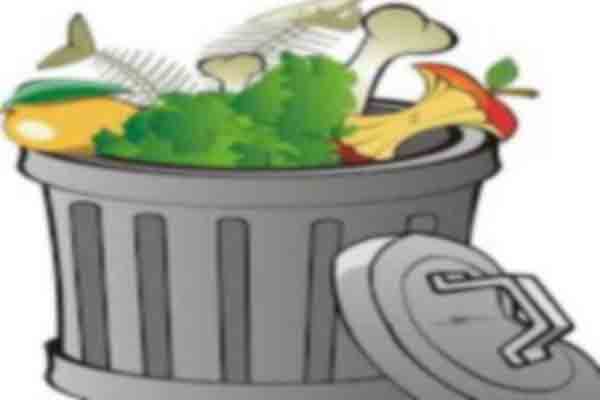 Causas y consecuencias de no reciclar | El Mundo Infinito