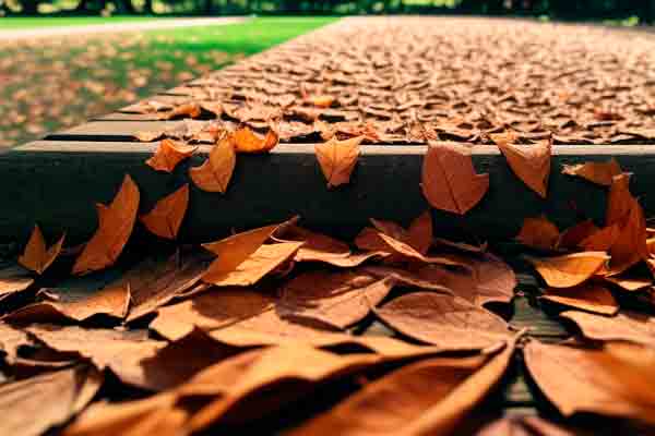 ¿Qué significa una cigarra en la casa? | El Mundo Infinito